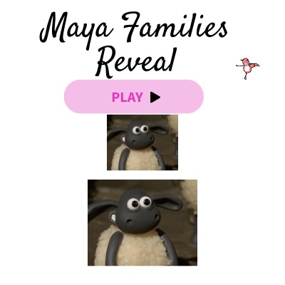 Maya Families!