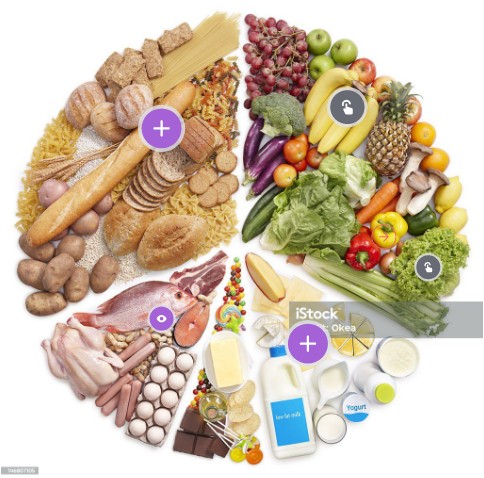 Five major food groups