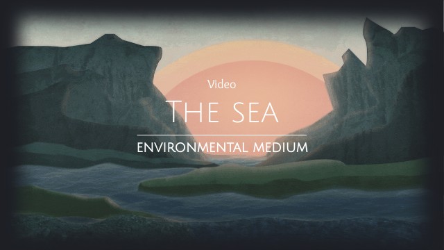 The sea | Genially