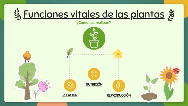 Funciones Vitales de las Plantas. | Genially