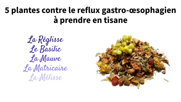 5 plantes contre le reflux gastriques