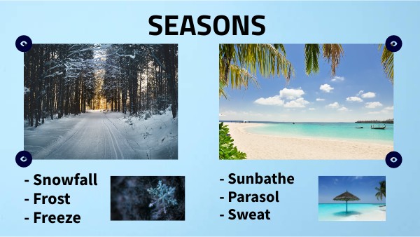 English project - SEASONS | Genially