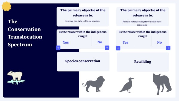 Conservation translocation spectrum | Genially