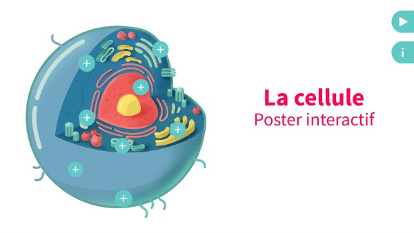 Poster interactif cellule | Genially