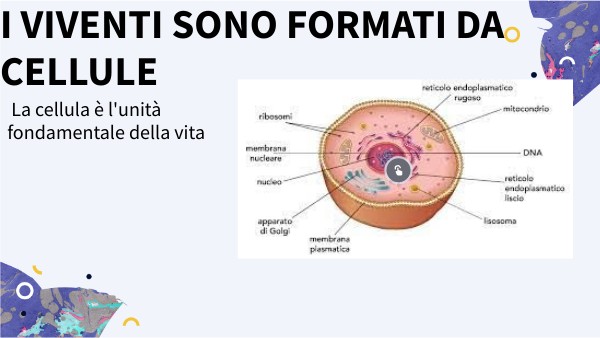 La cellula | Genially