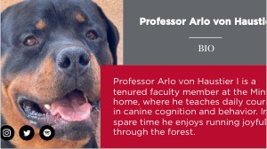 Professor Arlo von Haustier I | Genially