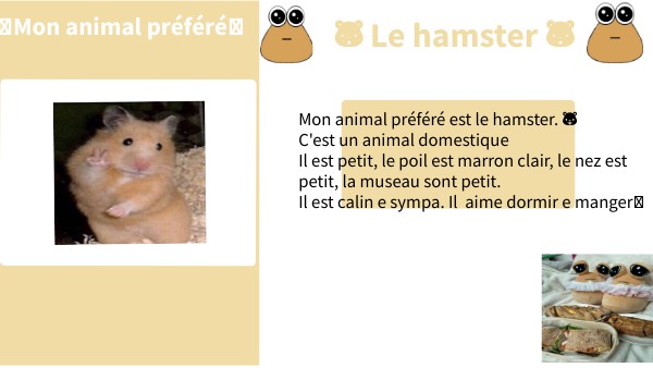 Presentazione di francese- mon animal préféré