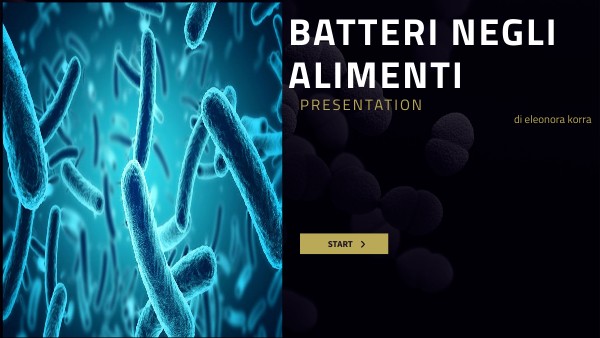 MICROPARTICLES PRESENTATION