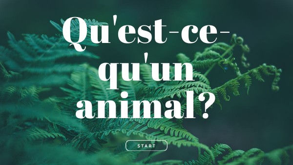 Les animaux