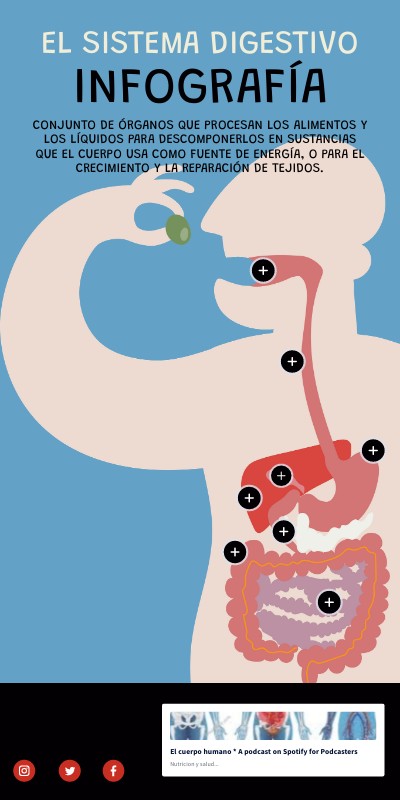 SISTEMA DIGESTIVO | Genially