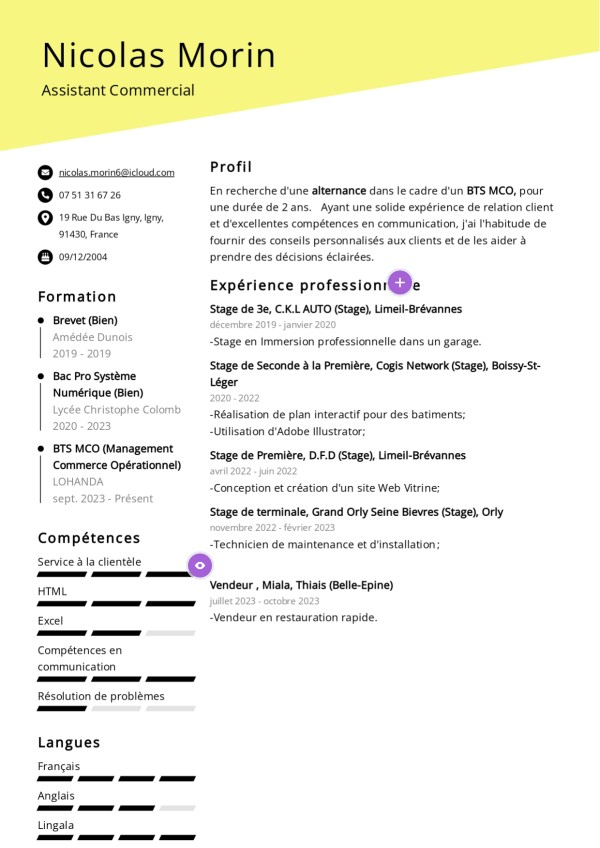 CV Interactif | Genially