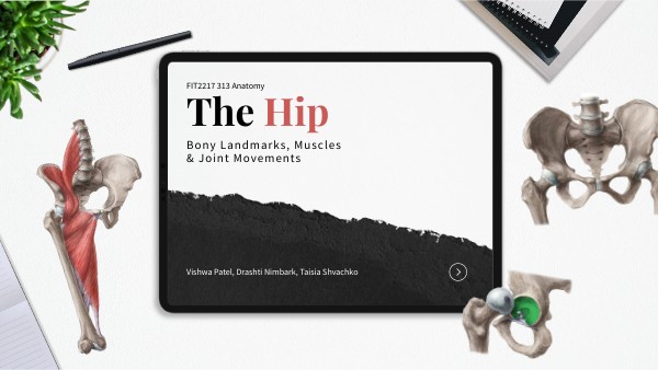 FIT2217 313 - The Hip