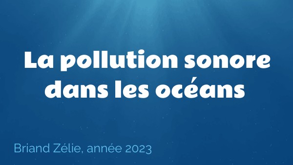 La pollution sonore dans les océans