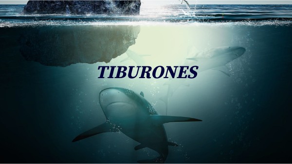 Presentación tiburones
