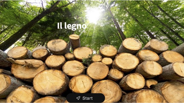 IL LEGNO