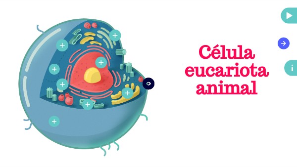 Trabajo de las células | Genially