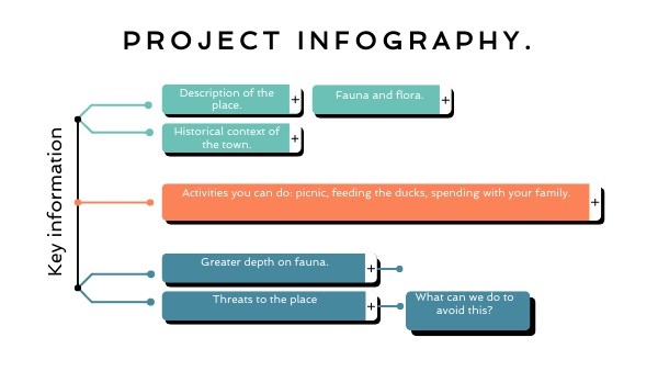 Project infography | Genially