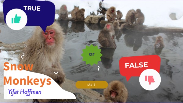 Snow Monkeys | Genially
