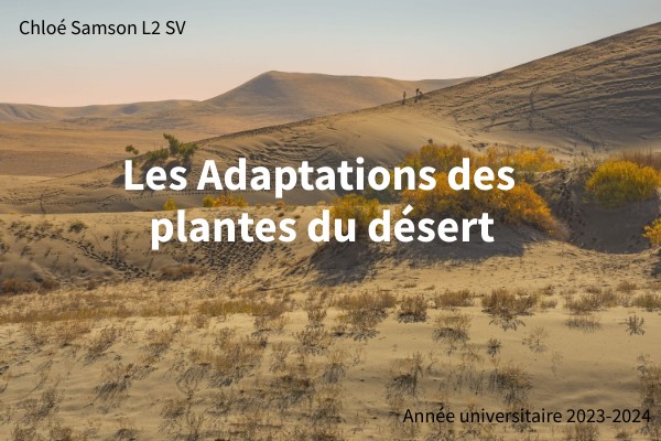 Adaptation des plantes dans le désert | Genially
