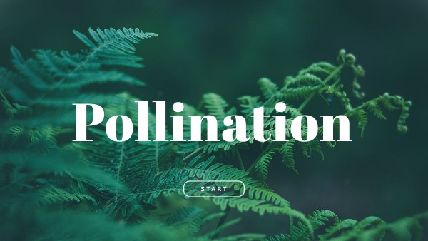 pollination | Genially