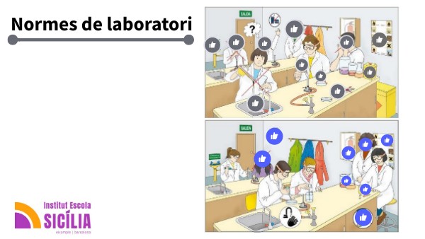 Activitat 4: Normes de laboritari