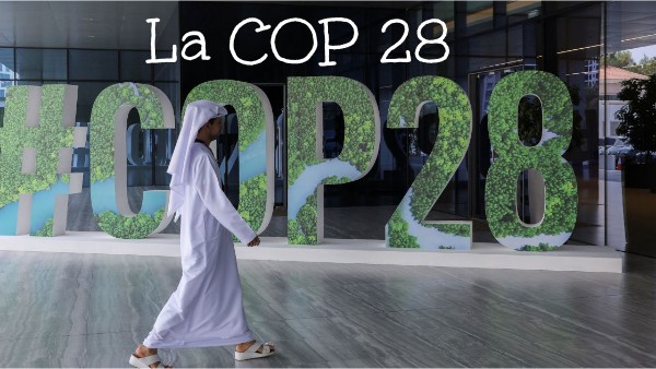 COP 28
