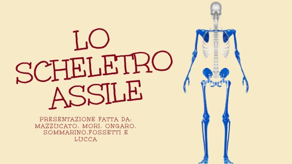 Scheletro assile