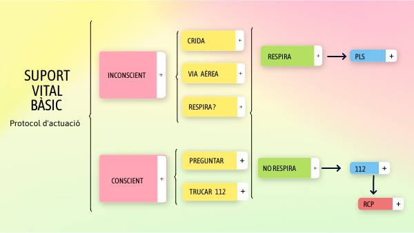 Suport vital bàsic | Genially