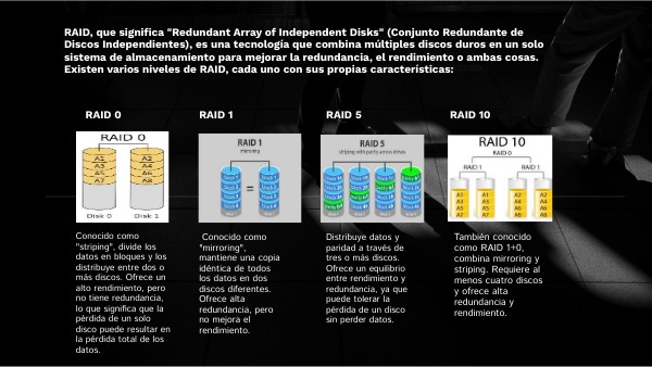 INFOGRAFIA RAID
