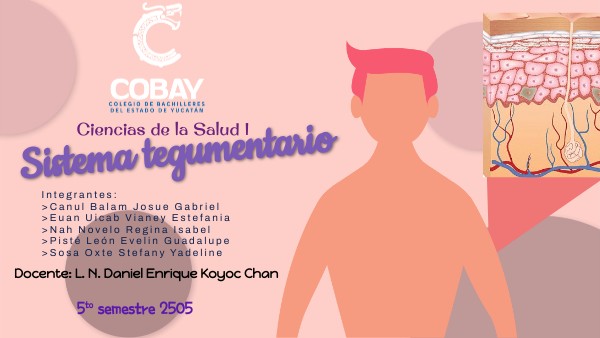 Sistema tegumentario | Genially