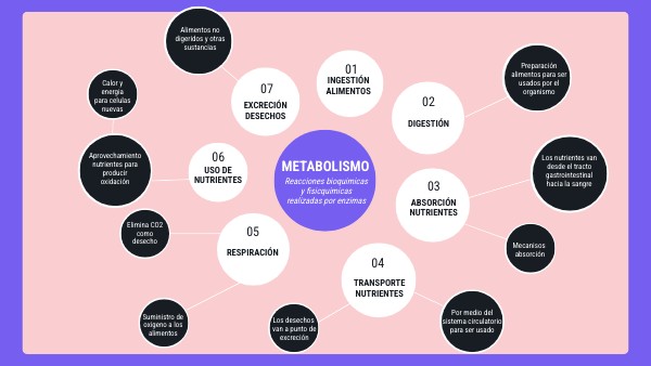 MAPA CONCEPTUAL CIRCULAR | Genially