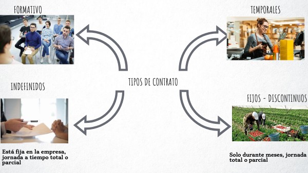 visual thinking FOL ADAM