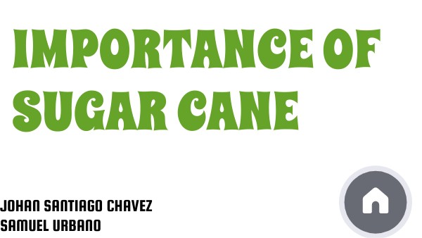 importance of sugar cane