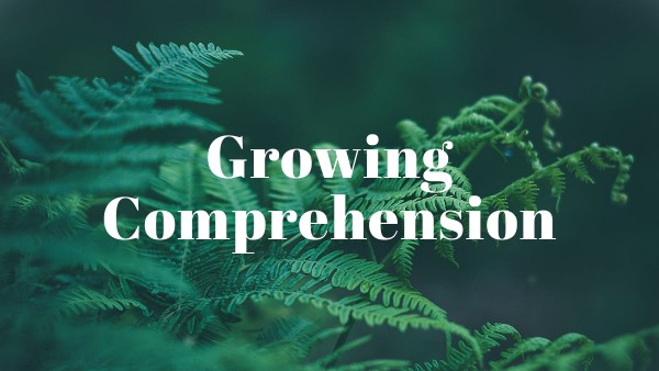 Comprehension