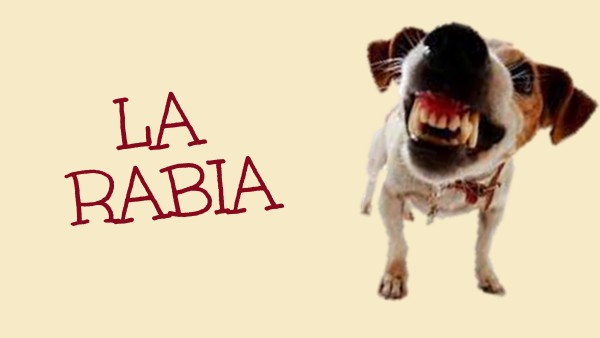 La rabia