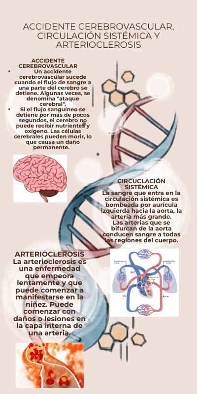INFO VERTICAL ADN | Genially