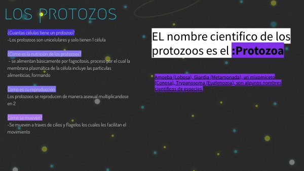 Los protozoos