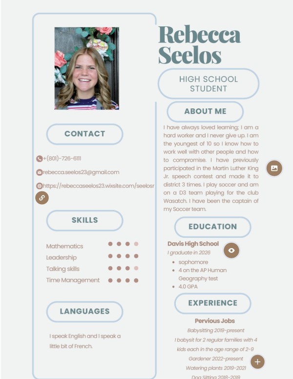 Interactive resume