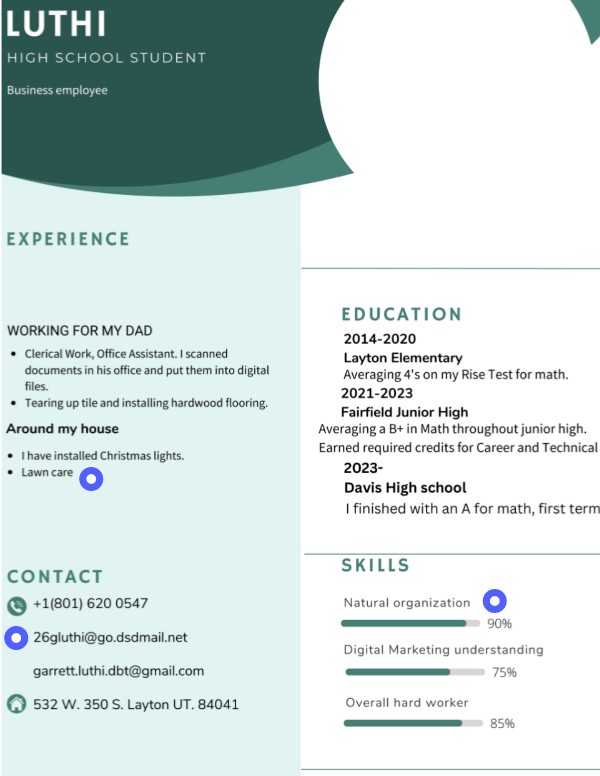 DBT Resume