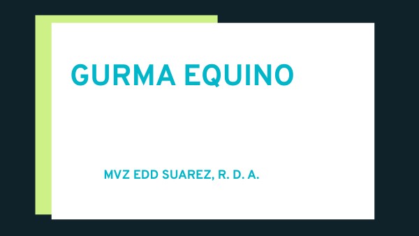 GURMA EQUINO
