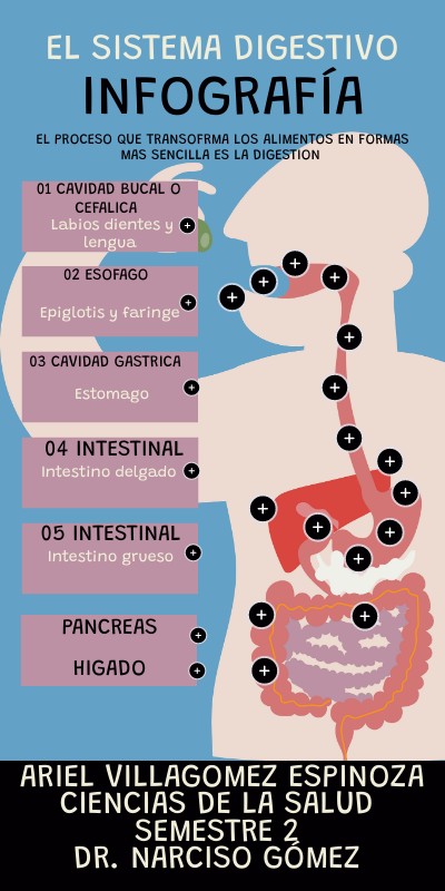 INFO VERTICAL DIGESTIVO | Genially