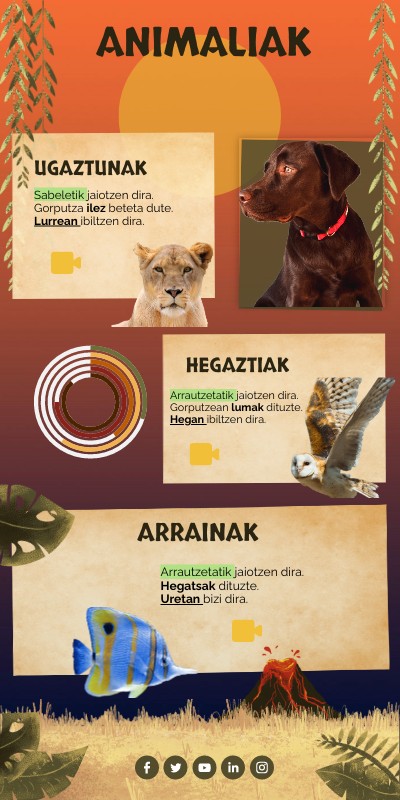 ANIMALIAK IDU | Genially