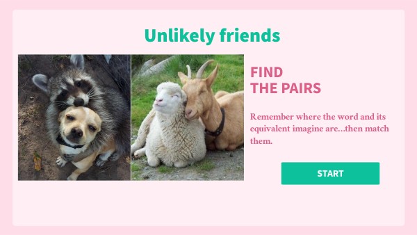 FIND THE PAIRS