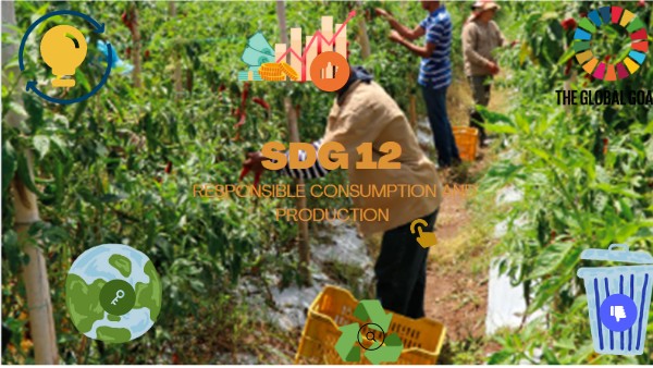 SDG 12