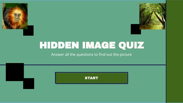 HIDDEN IMAGE QUIZ | Genially