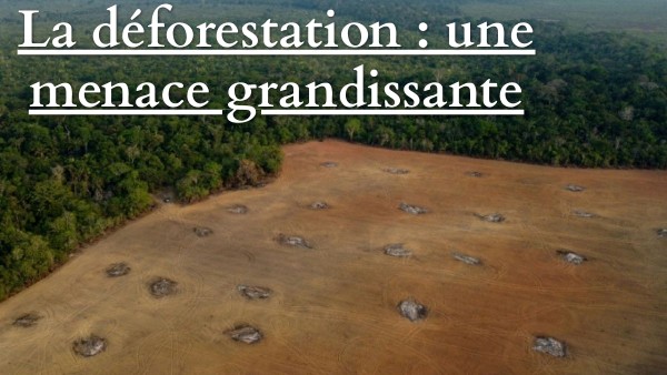 Déforestation | Genially
