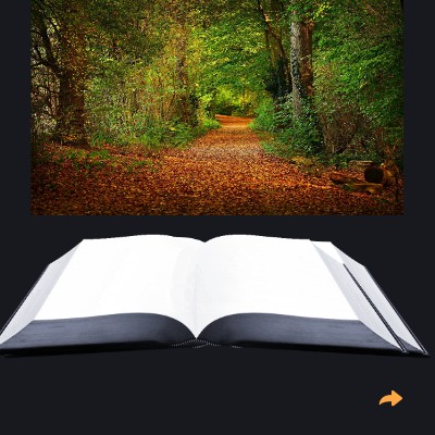 ACCIONABLE LIBRO | Genially