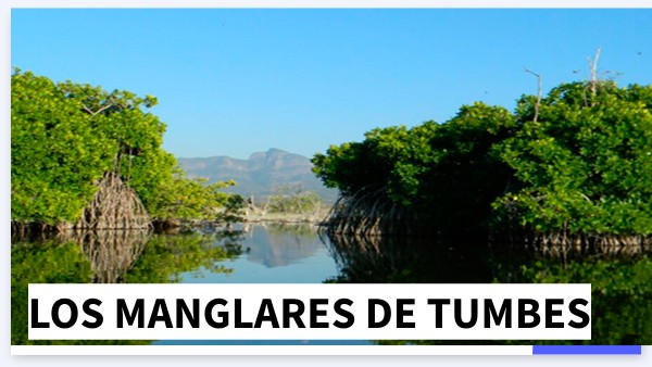 Los Manglares de Tumbes | Genially