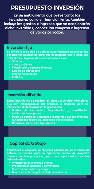 PRESUPUESTO DE INVERSION | Genially