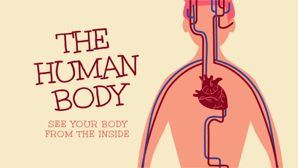 HUMAN BODY PRESENTATION